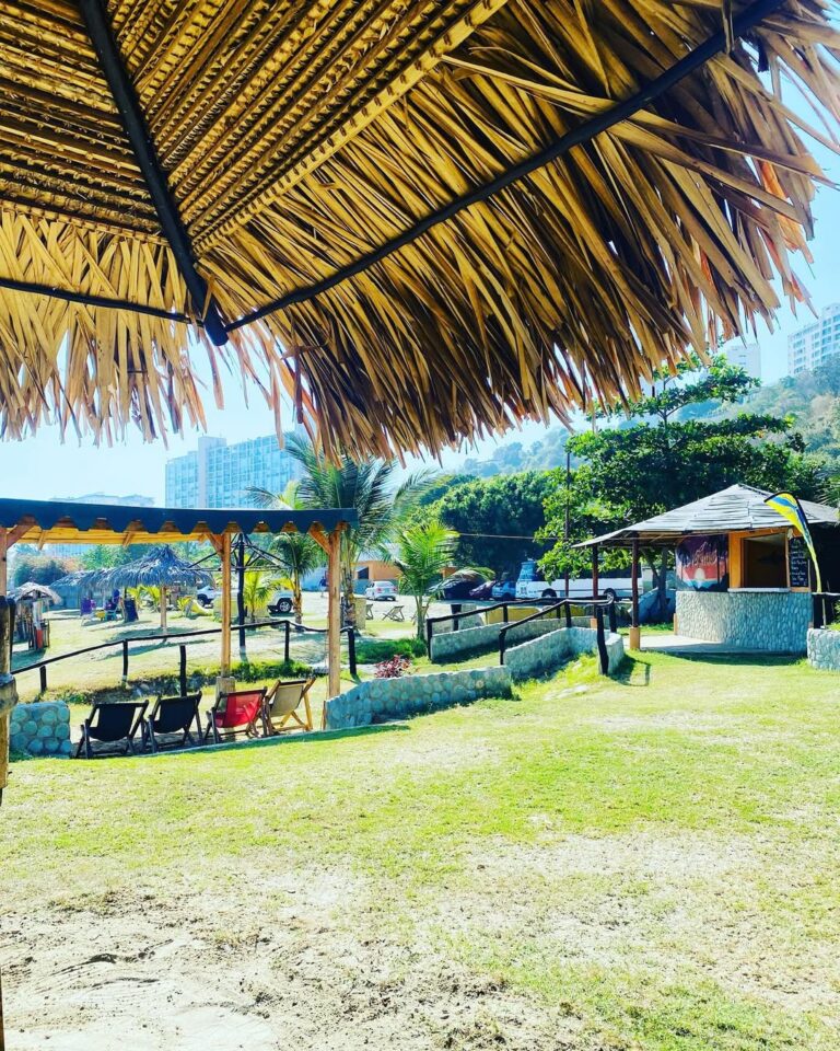 Sol, Arena y Sabor Guaireño: Descubre las Playas Imperdibles de La Guaira