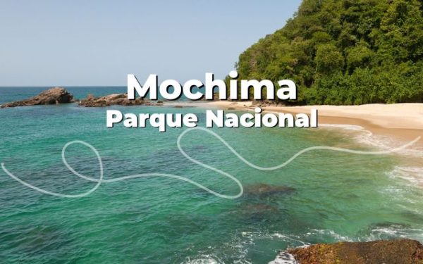 Paseo de Los Delfines en Mochima. Un encuentro con estos simpáticos ...